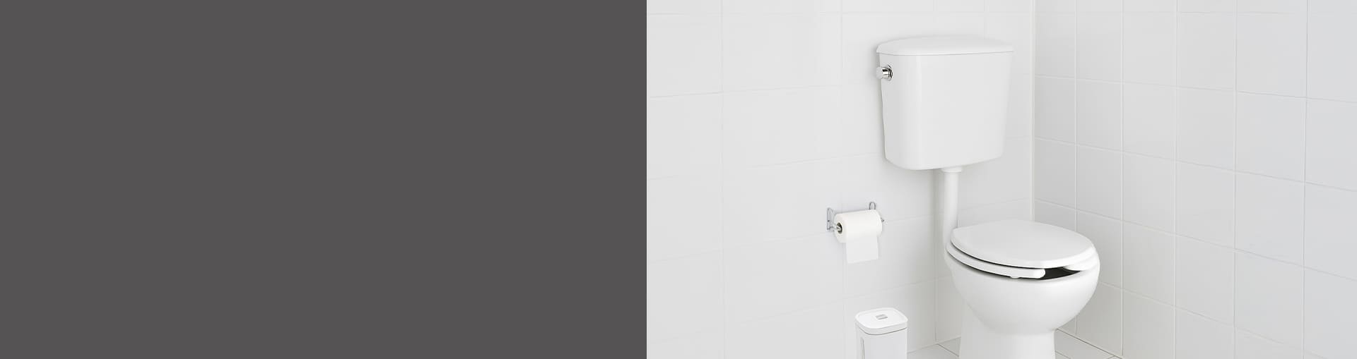 Segura e Integradora